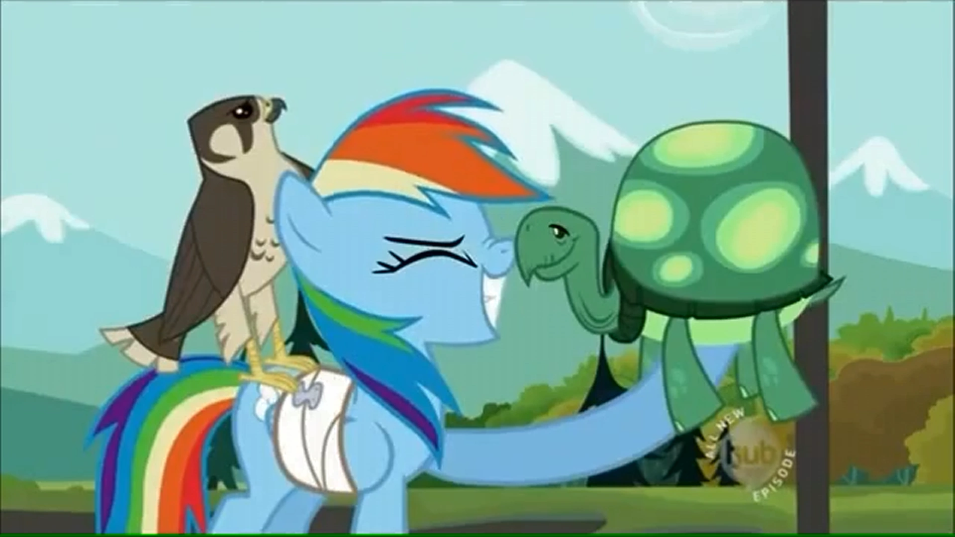 Image - Rainbow Dash and Tank rub noses S2E07.png | My Little Pony ...