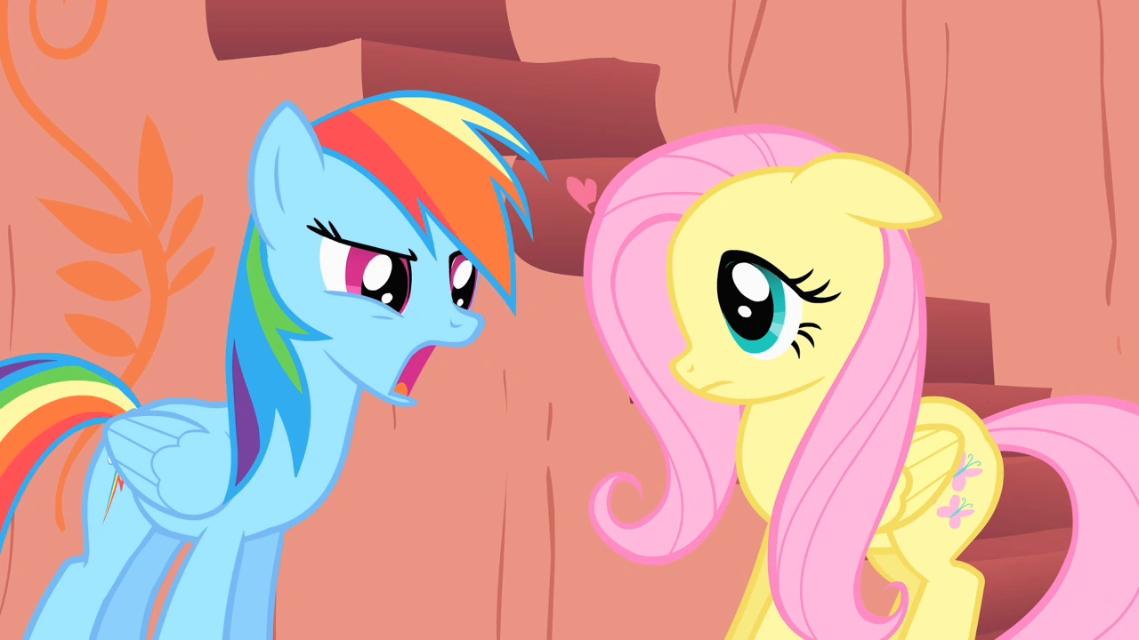 Image - Rainbow Dash and Fluttershy S01E16.png | My Little Pony ...