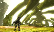 Primal Forest | Monster Hunter Wiki | Fandom powered by Wikia