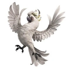 Category:Rio Villains | Movie Villains Wiki | Fandom powered by Wikia