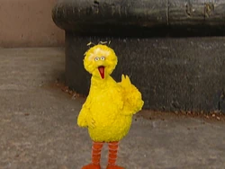 Episode 4108 | Muppet Wiki | FANDOM powered by Wikia