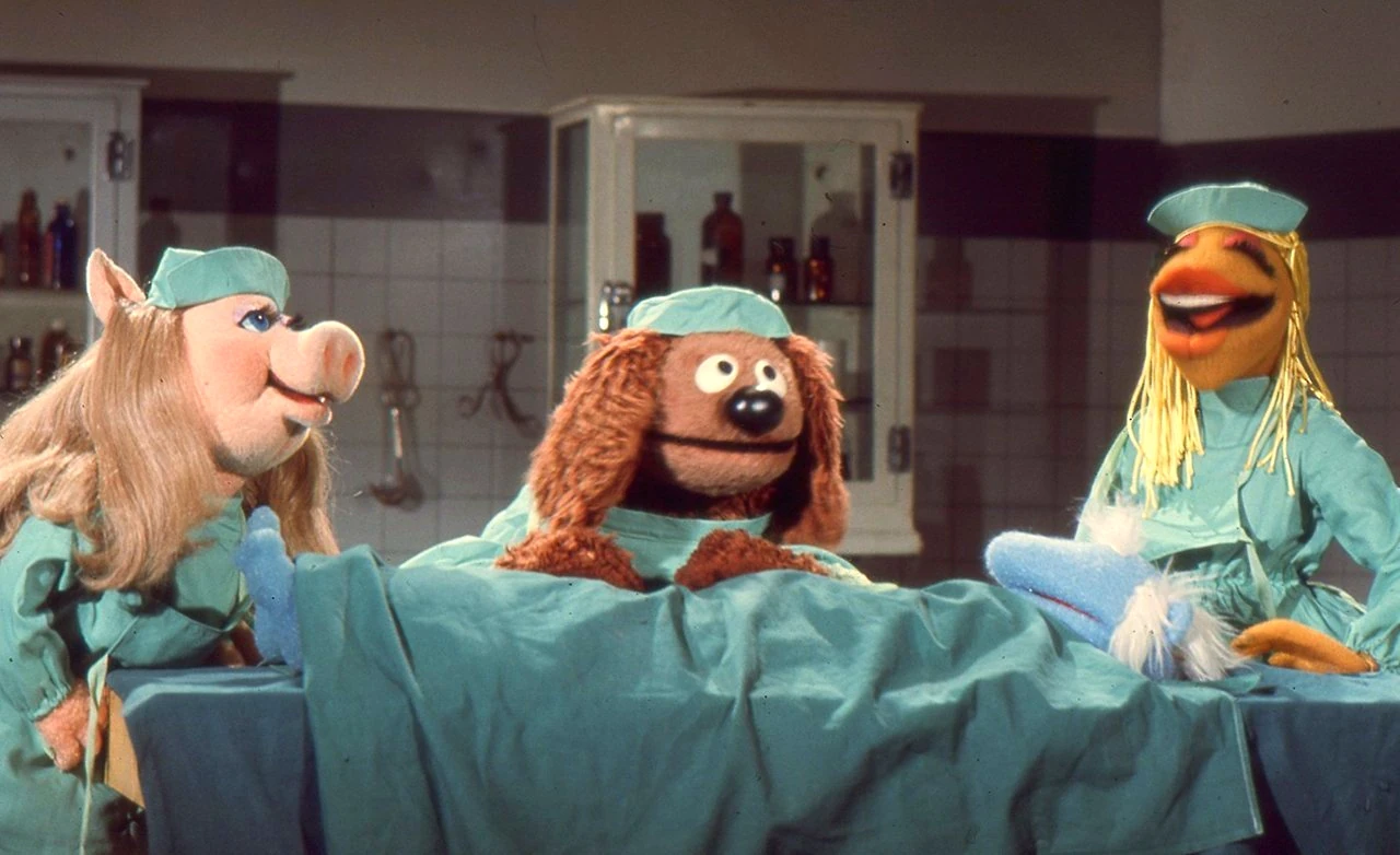 Veterinarian's Hospital | Muppet Wiki | FANDOM powered by Wikia