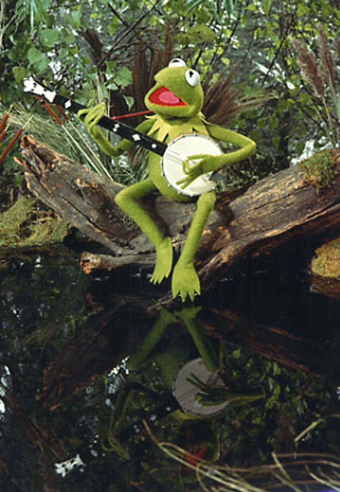 Kermit's Swamp | Muppet Wiki | Fandom powered by Wikia