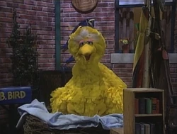 Episode 3207 | Muppet Wiki | Fandom powered by Wikia