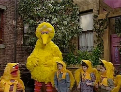 Episode 3873 | Muppet Wiki | FANDOM powered by Wikia