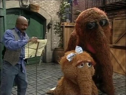 Episode 3781 | Muppet Wiki | Fandom powered by Wikia