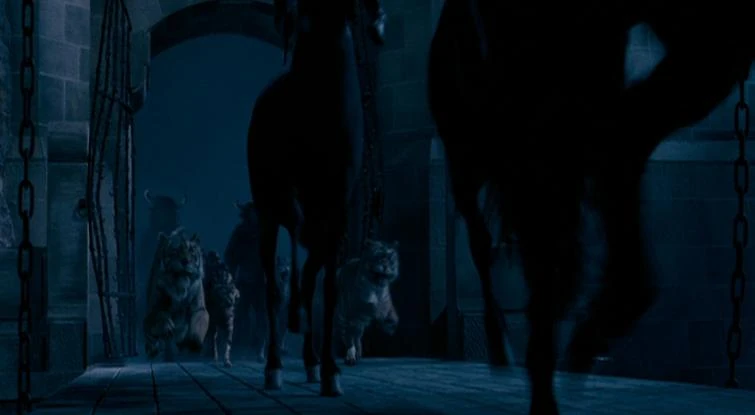 Tiger | The Chronicles of Narnia Wiki | Fandom powered by Wikia