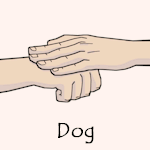 Hand seals guide | Complete naruto hand seals guide Wiki | FANDOM ...