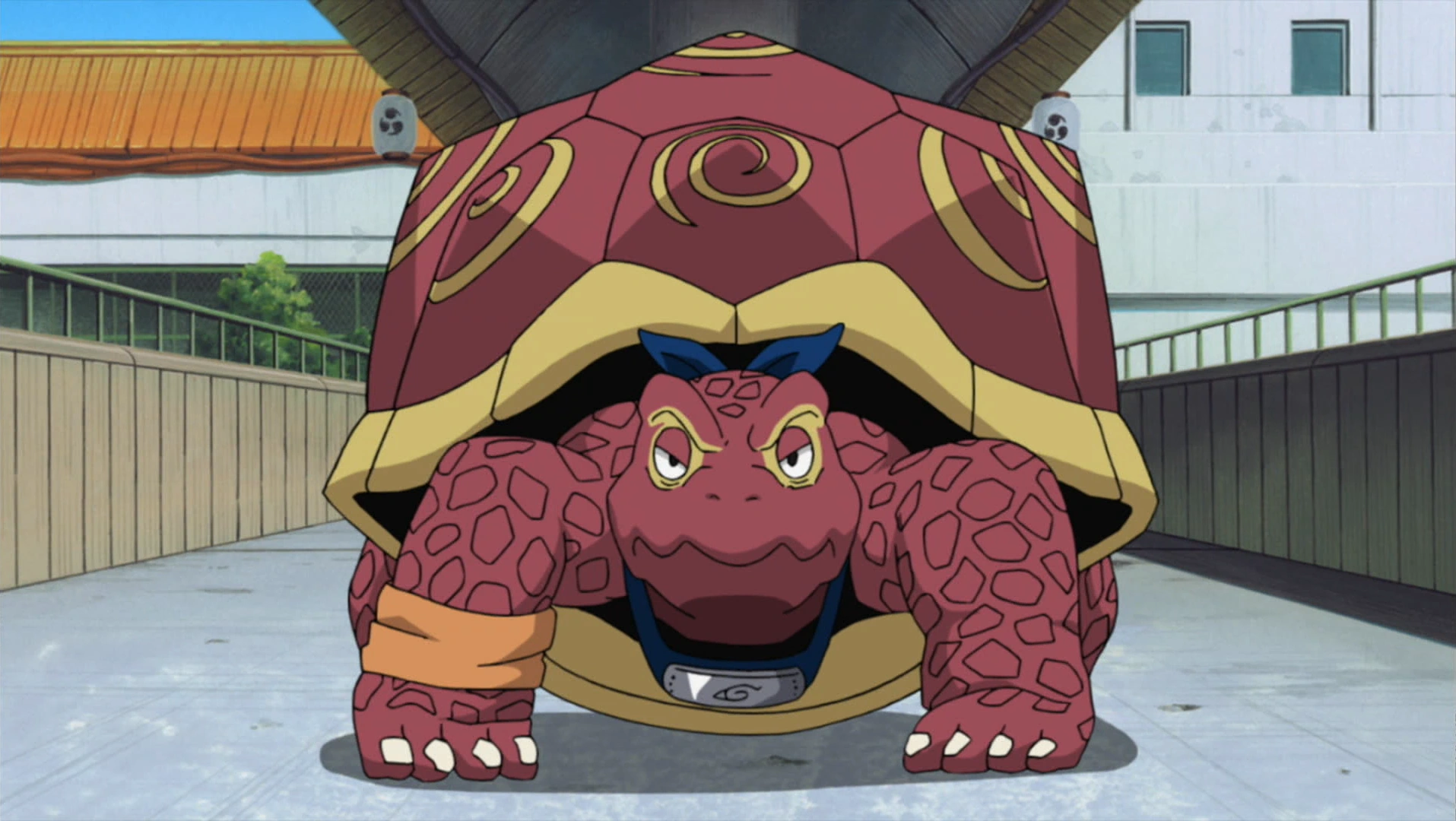 Tortoise | Narutopedia | FANDOM powered by Wikia