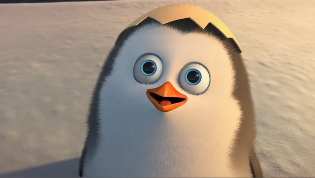 Archivo:Cabo bebé3.png - Pingüinos de Madagascar Wiki - Wikia