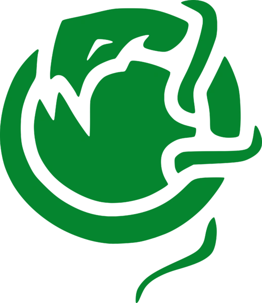 Image - 518px-Lloyd ZX Emblem.png | Ninjago Fanon Wiki | Fandom powered ...