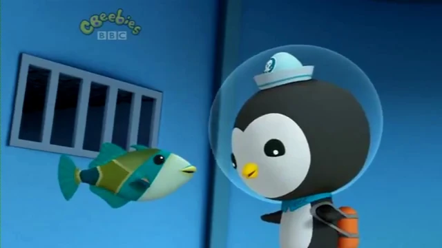 The Humuhumunukunukuapua'a | Octonauts Wiki | FANDOM powered by Wikia