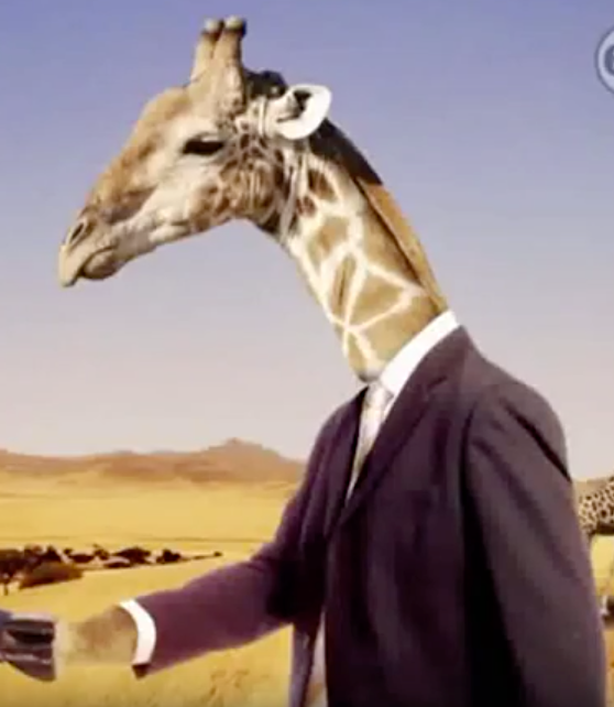 Giraffe People | Odd Squad Wiki | FANDOM powered by Wikia