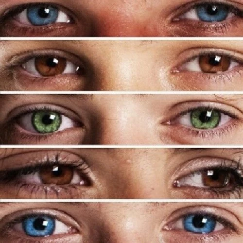 Image - Eyes.jpg | One Direction Wiki | Fandom powered by Wikia