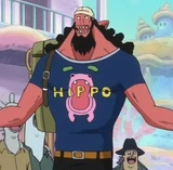 Fisher Tiger - One Piece Wiki - Wikia
