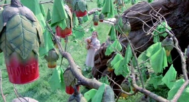 Lunch-Box Tree - Oz Wiki - The Wonderful Wizard of Oz
