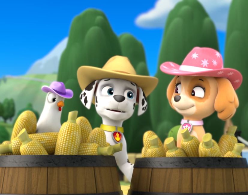 Image Marshall Skye 06 Paw Patrol Wiki Fandom Powered By Wikia