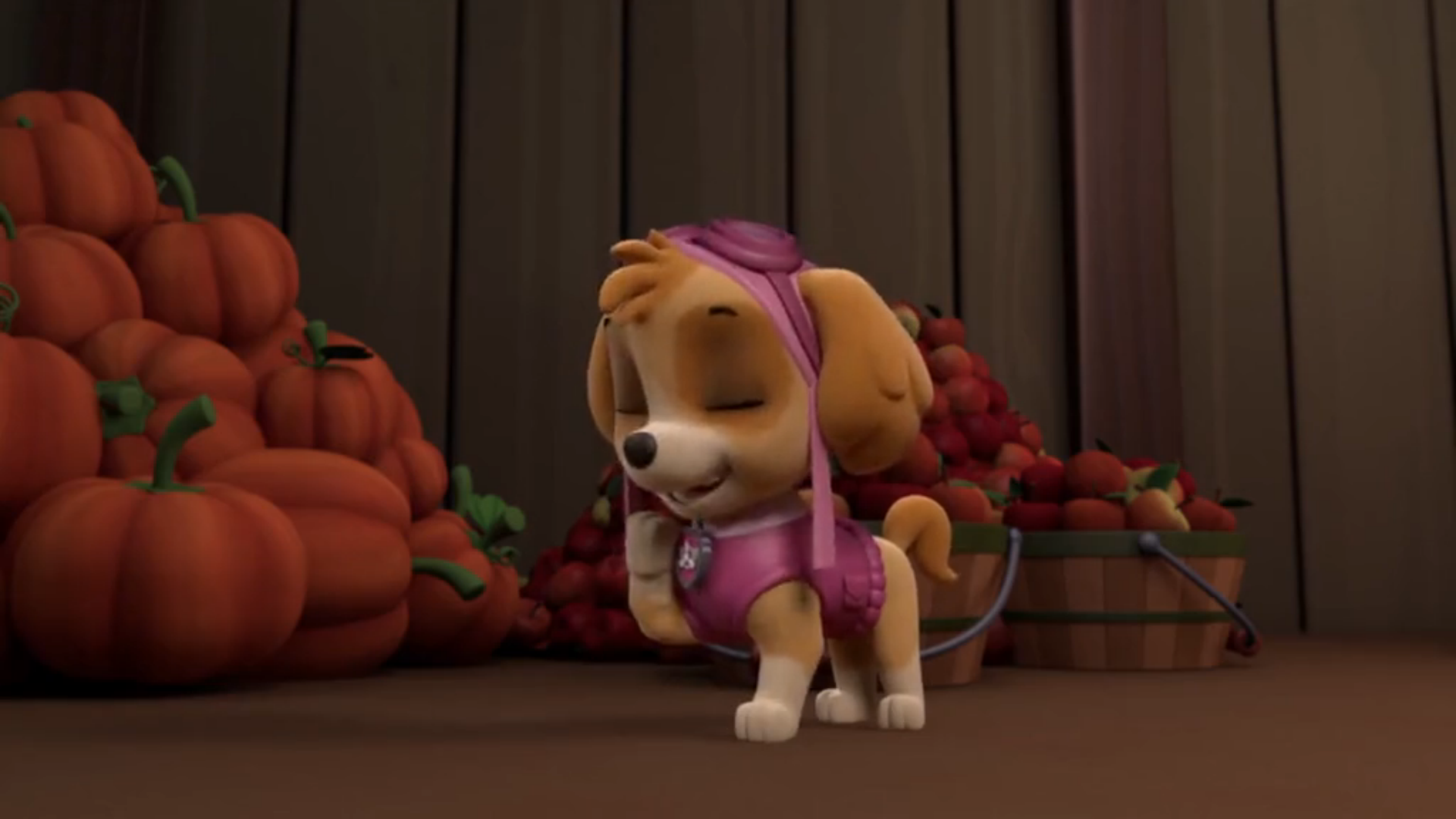 Skye/Gallery/Pups Fall Festival | PAW Patrol Wiki | FANDOM powered by Wikia