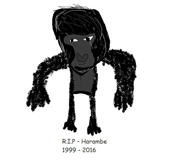 Harambe Appreciation Thread | Fandom