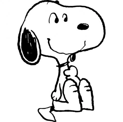 Image - Peanuts.Snoopy 1970s.jpg | Peanuts Wiki | FANDOM powered by Wikia