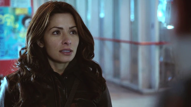Shaw (Sarah Shahi) Appreciation Thread pagina 20 POI Forum Person Of ...