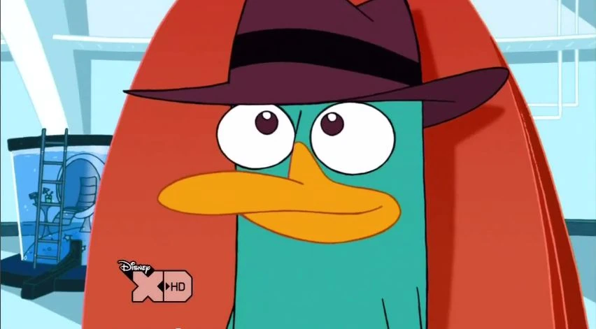 Image - Perry Smiling.jpg | Phineas and Ferb Wiki | FANDOM powered by Wikia
