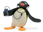 Pingu (character) | Pingu Wiki | Fandom powered by Wikia