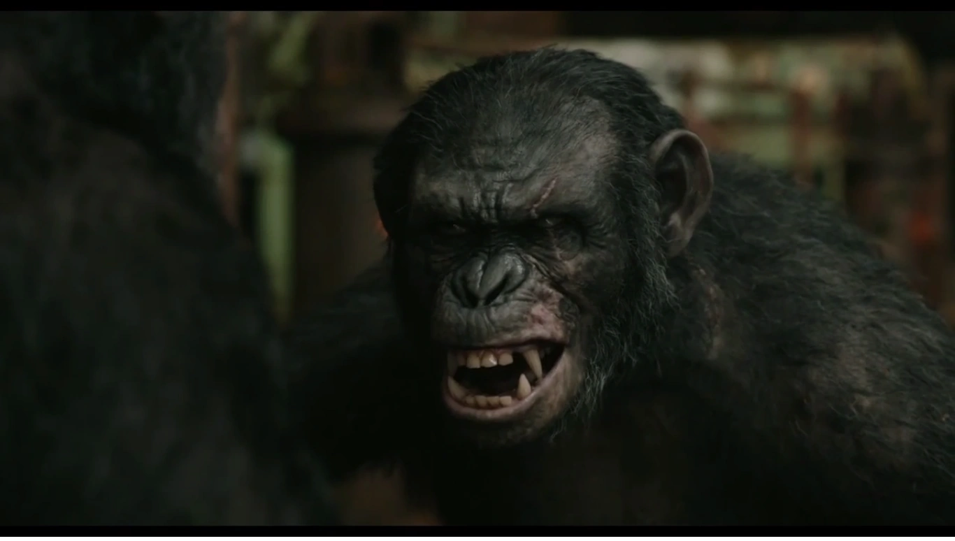 Grey | Planet of the Apes Wiki | Fandom powered by Wikia