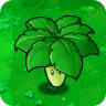 Plants (Plants vs. Zombies) | Plants vs. Zombies Wiki | Fandom powered ...