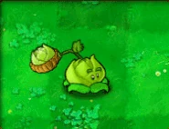 Cabbage-pult/Gallery | Plants vs. Zombies Wiki | Fandom powered by Wikia