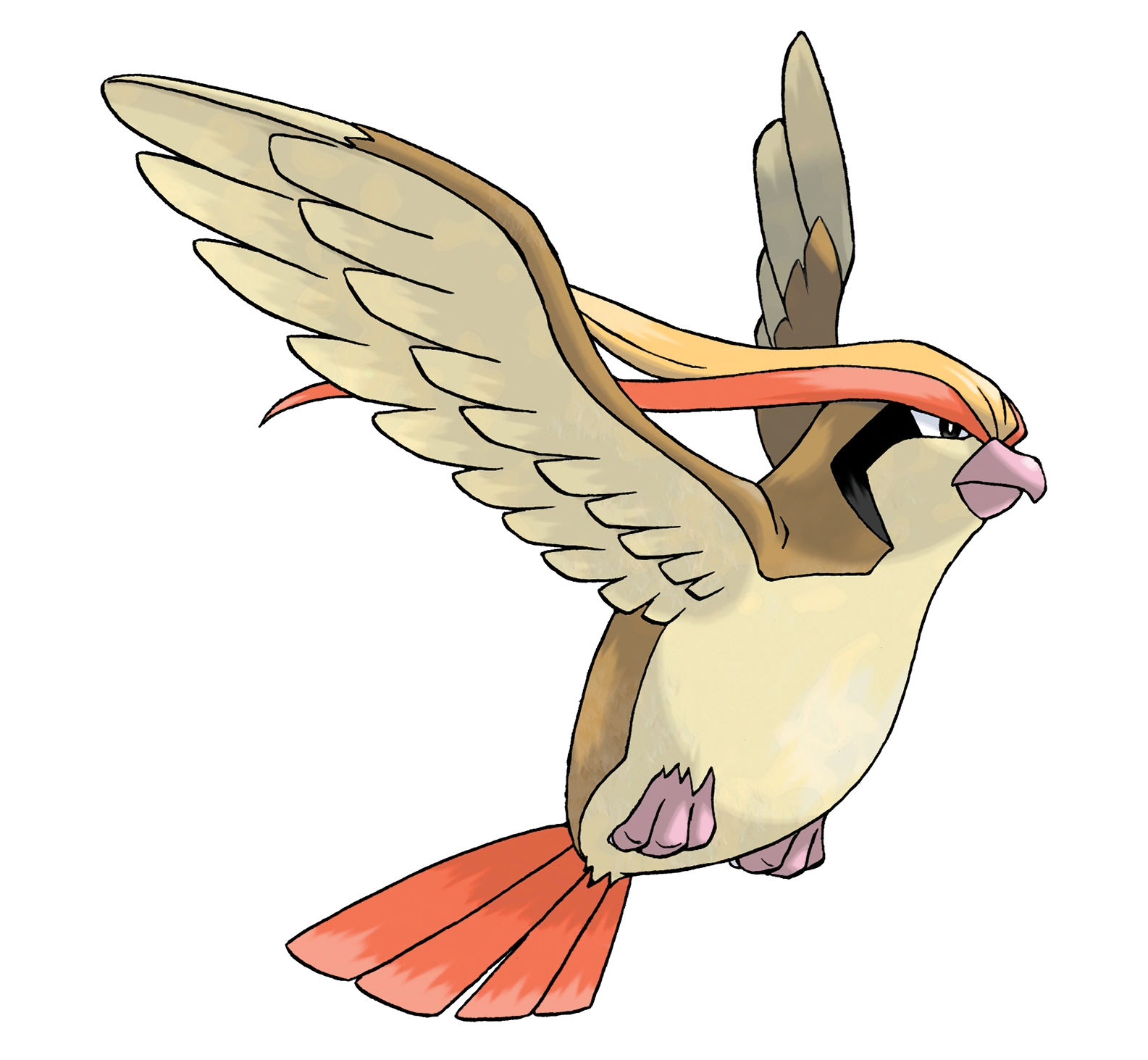 Pidgeotto | Pokemon Revolution Online Wikia | Fandom powered by Wikia