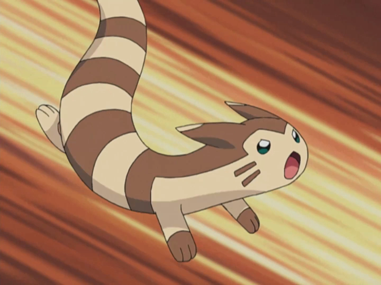 Julie's Furret | Pokémon Wiki | Fandom powered by Wikia