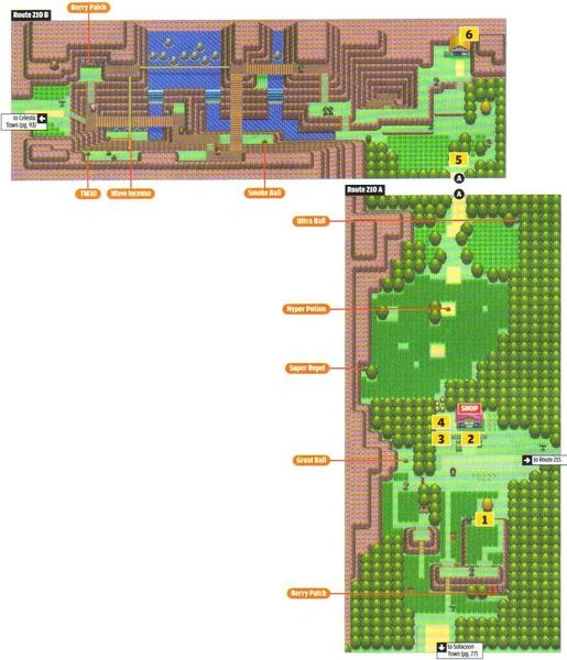 210번도로 | 포켓몬 위키 | FANDOM powered by Wikia