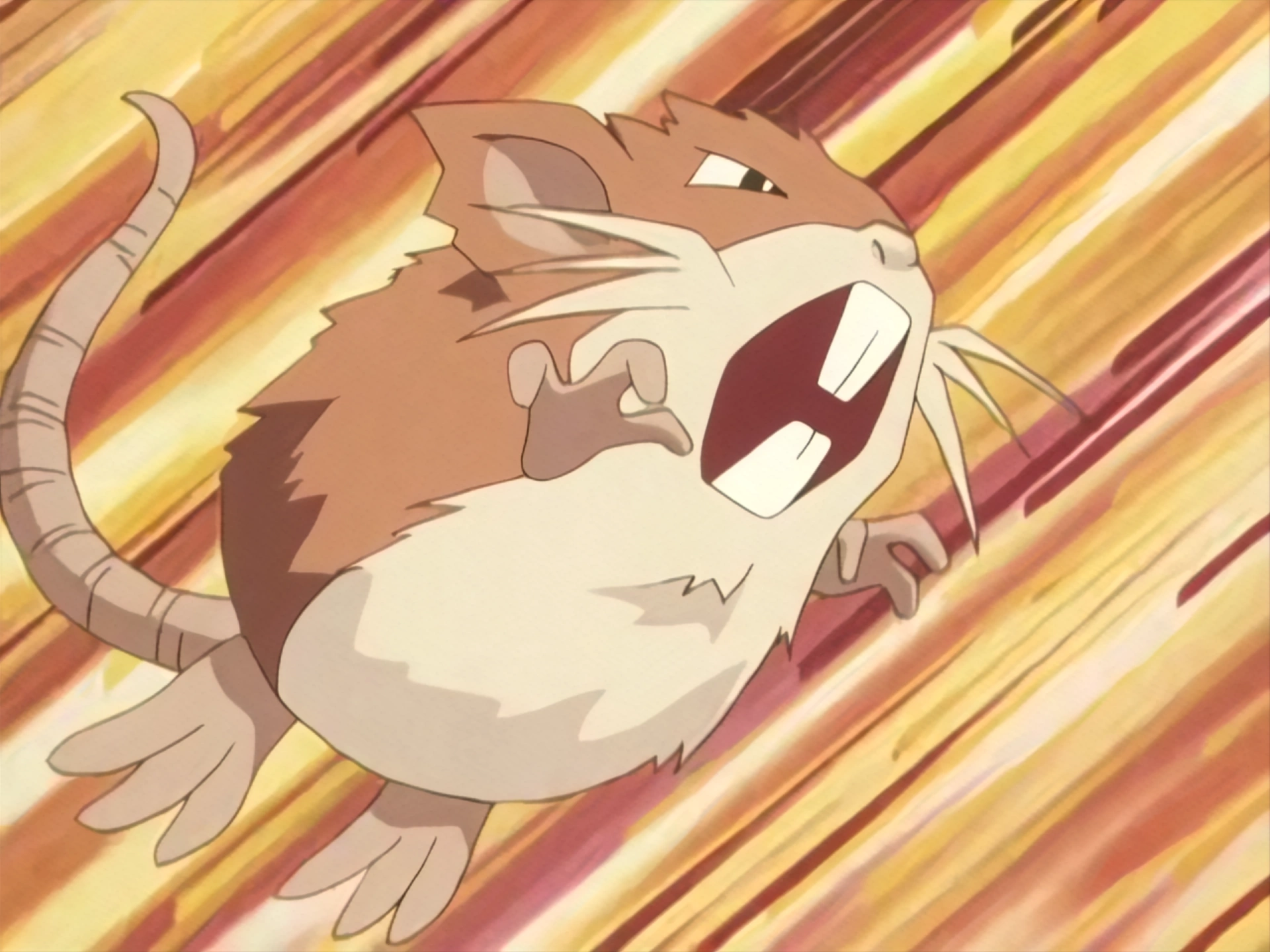 Team Rocket's Raticate (anime) | Pokémon Wiki | FANDOM powered by Wikia