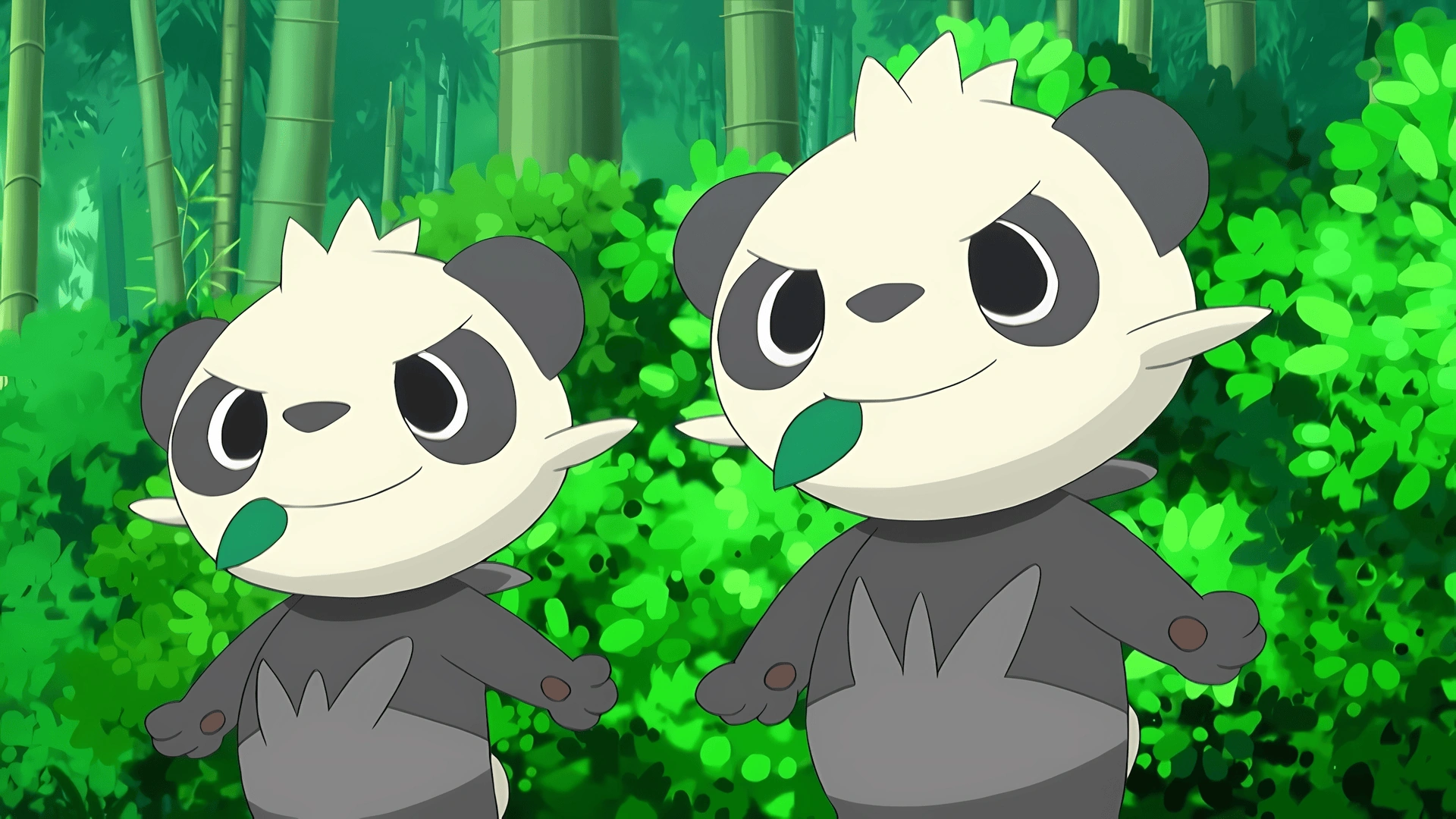 Pancham (XY011) | Pokémon Wiki | Fandom powered by Wikia