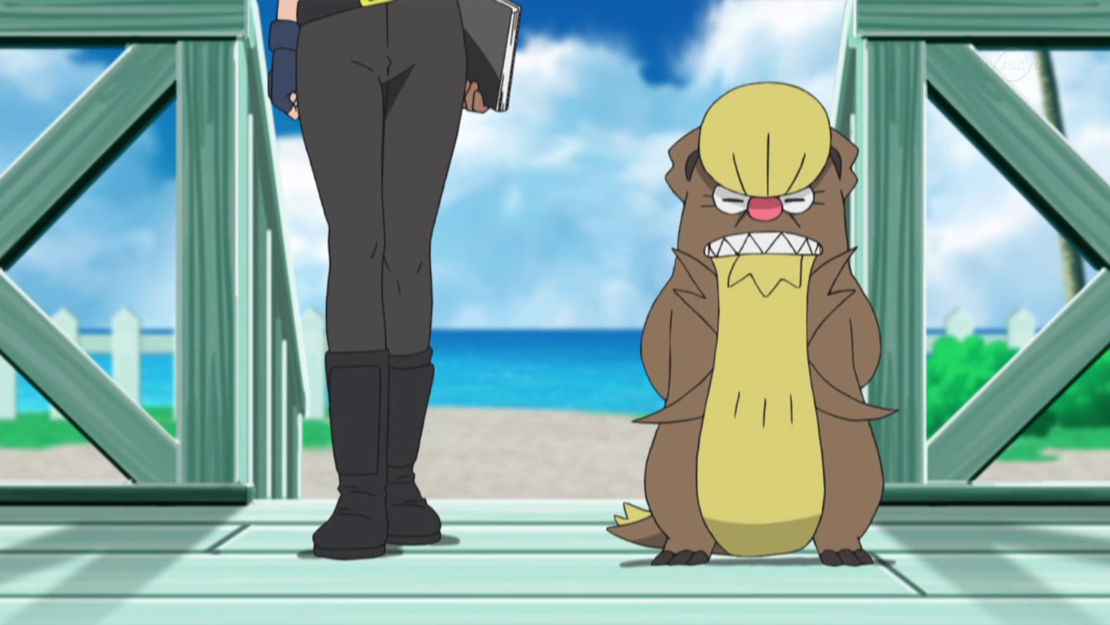 Officer Jenny Pokémon Wiki Fandom Powered By Wikia