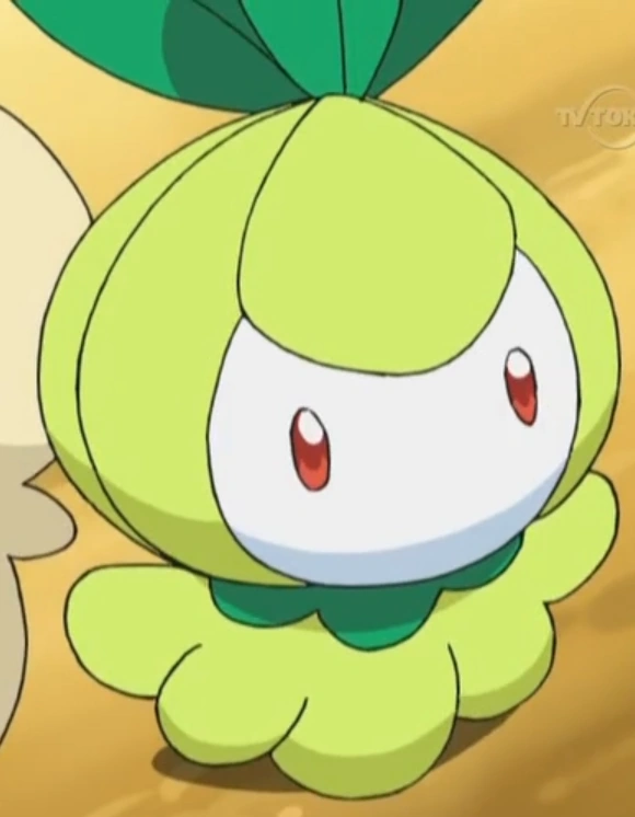 Layla's Petilil | Pokémon Wiki | FANDOM powered by Wikia