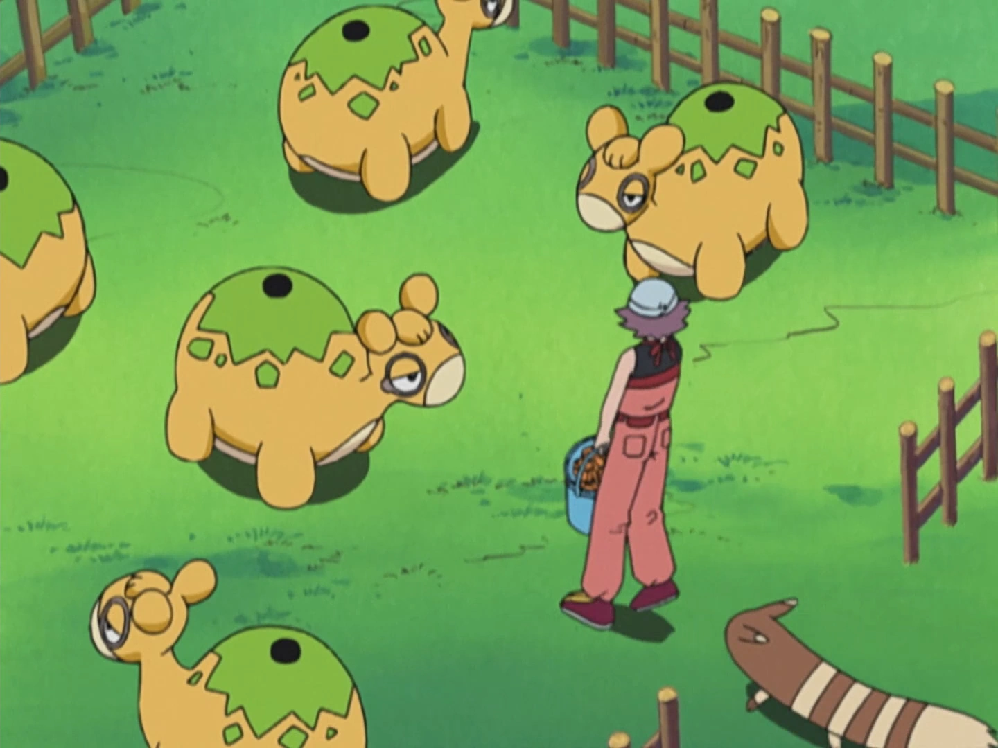 Numel Pokemon Evolution