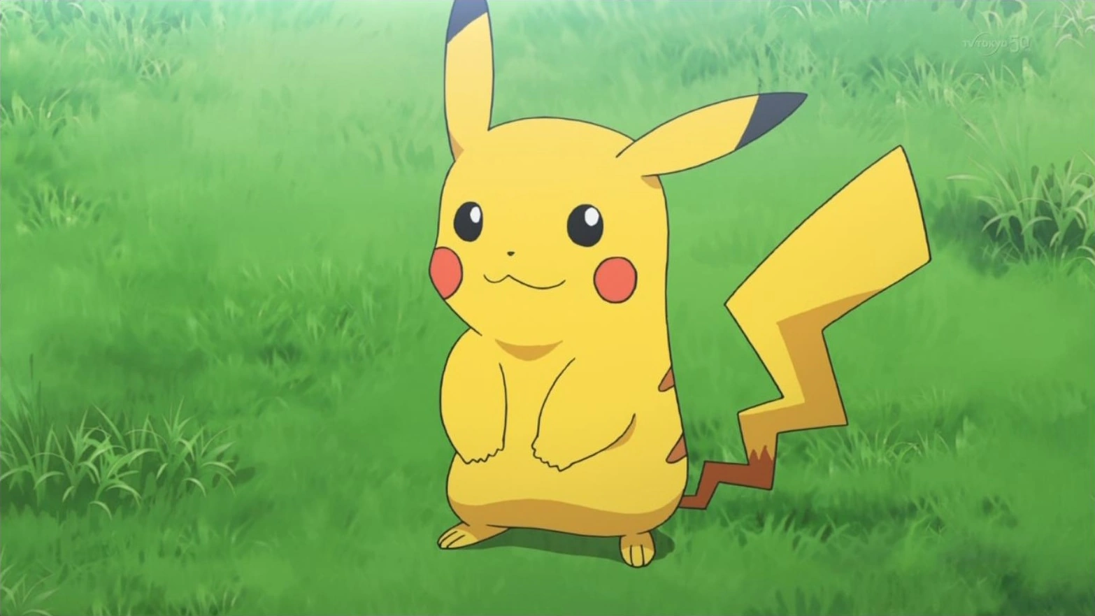 Red's Pikachu (Origins) | Pokémon Wiki | Fandom powered by Wikia
