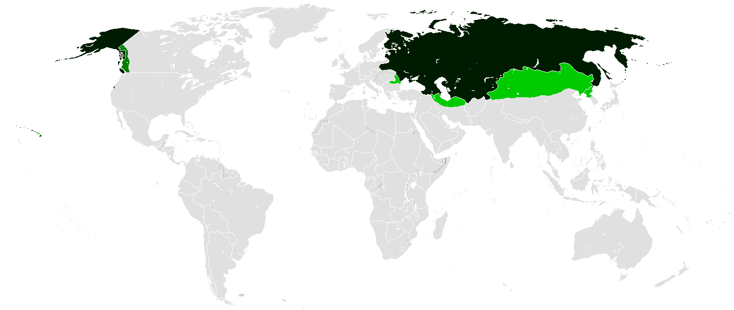 Image - Russian Empire at its greatest extent (1866).png | Politics and ...