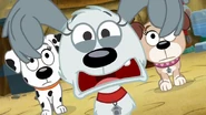 Cupcake | Pound Puppies 2010 Wiki | Fandom powered by Wikia