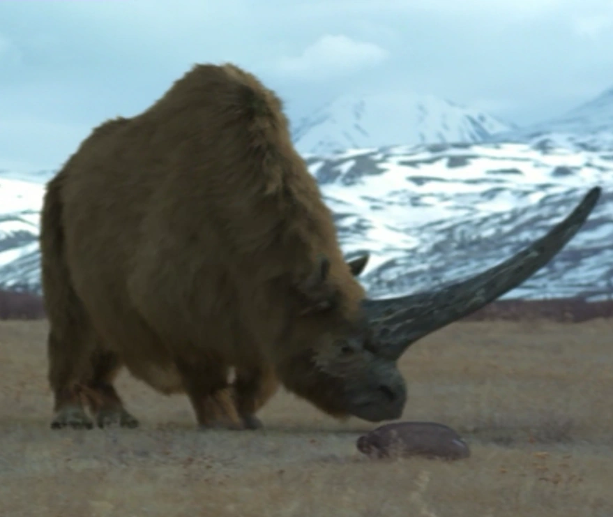 Elasmotherium