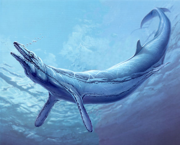 Basilosaurus | Prehistoric Earth Wiki | FANDOM powered by Wikia