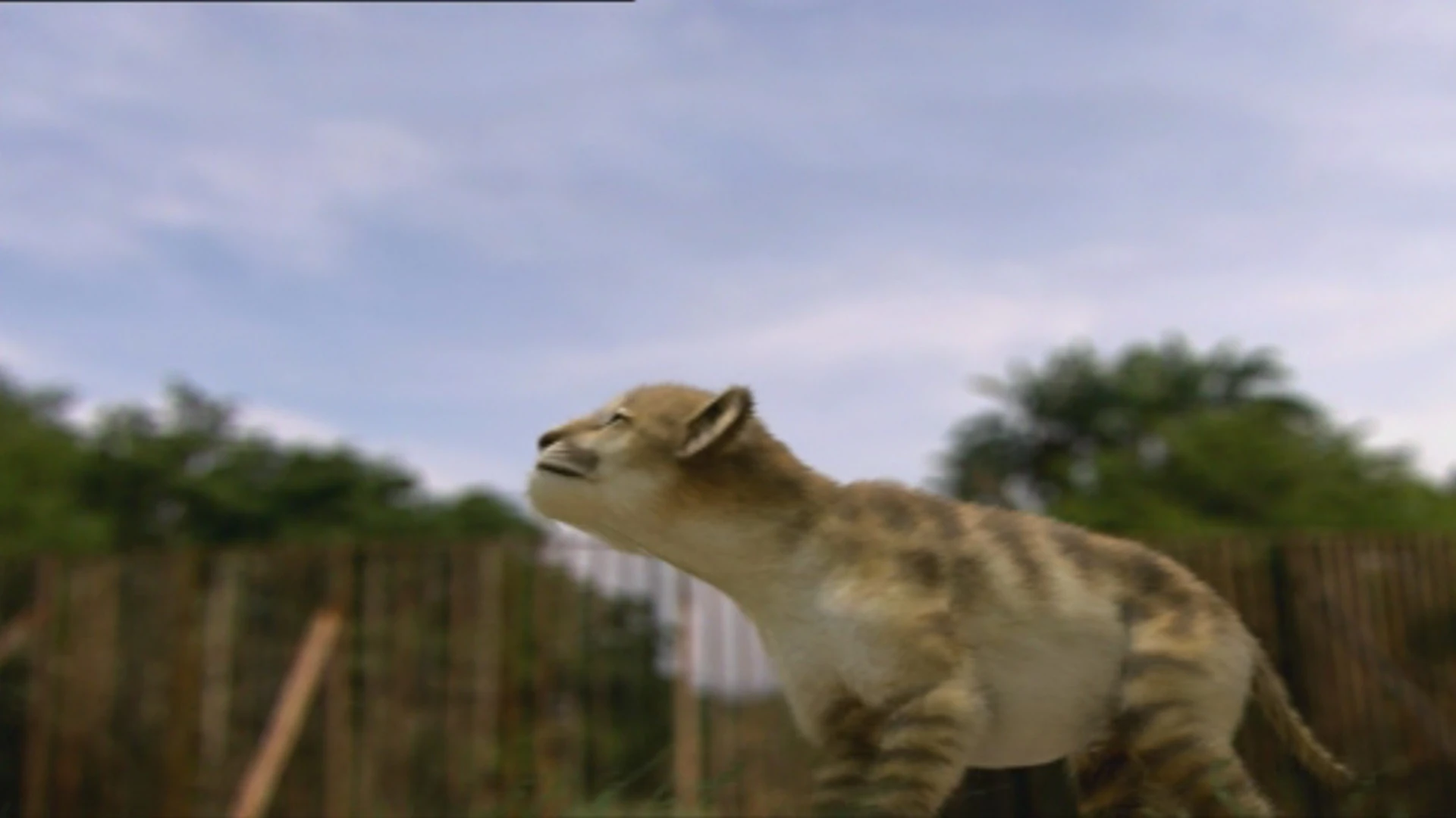 Image - Smilodon-cub1.jpg | Prehistoric Park Wiki | FANDOM powered by Wikia