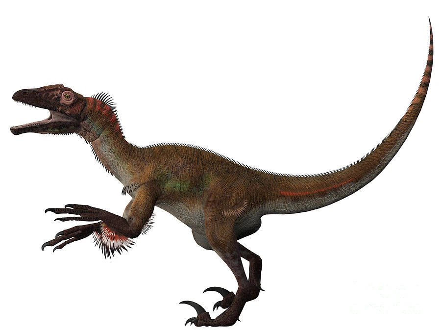 Utahraptor | Wiki Prehistórico | Fandom powered by Wikia