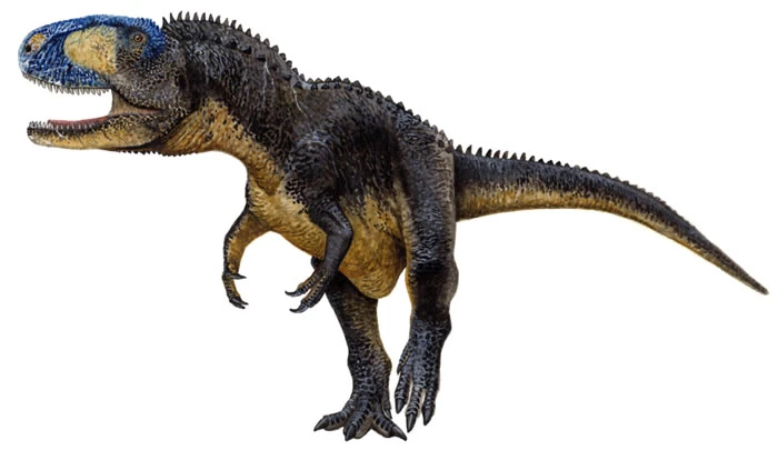 Usuario Blog:Blog de Jason/Kryptops | Wiki Prehistórico | FANDOM ...