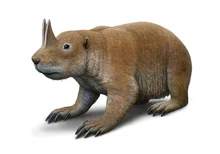 Ceratogaulus | Wiki Prehistórico | Fandom powered by Wikia