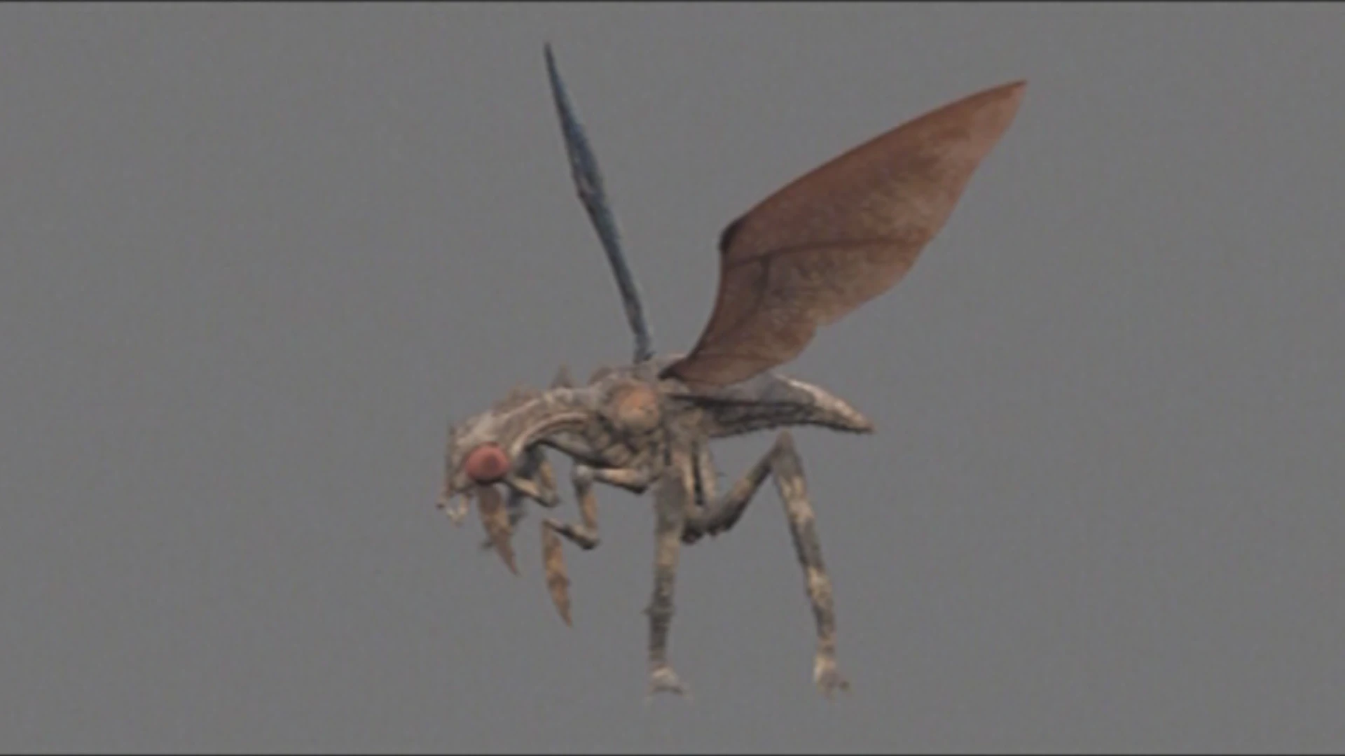 Image - Megopteran Model 2.jpg | Anomaly Research Centre | Fandom ...