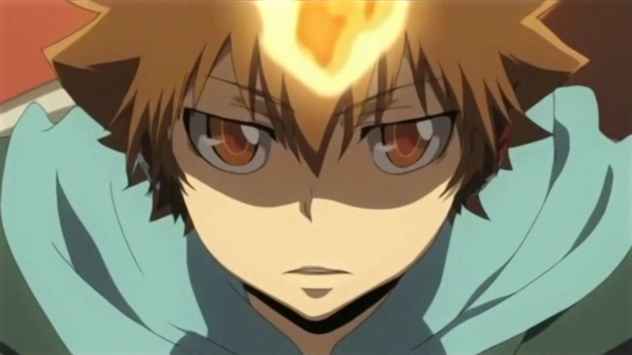Tsuna Sawada Dying Will