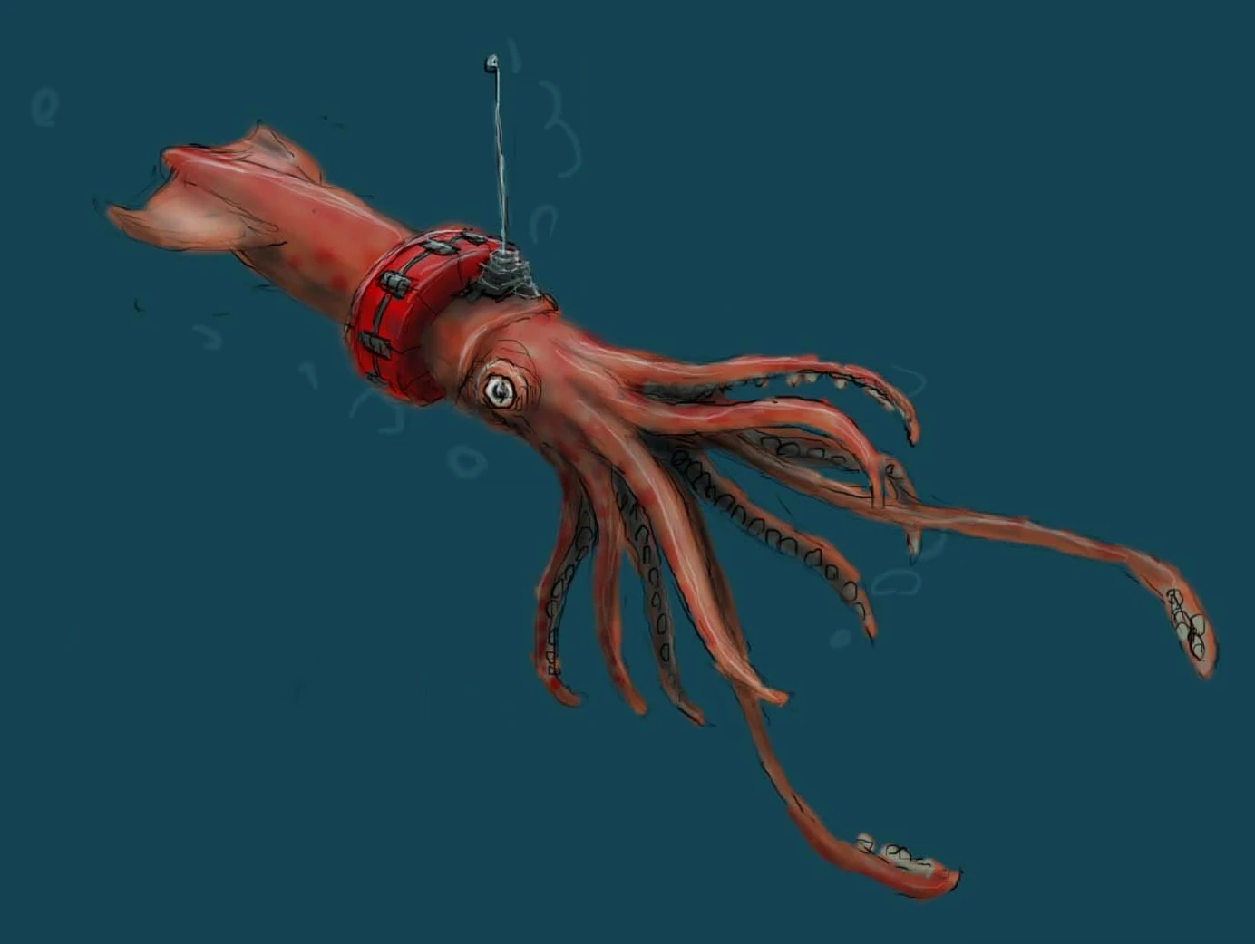 Image - Giant Squid.jpg | Reign of Conflagration Wiki | FANDOM powered ...